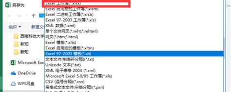 Csv格式转换成excel 2013360新知