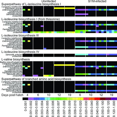 Functional Profiling Of The Shotgun Sequencing Data Indicates That Most