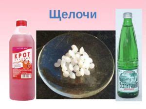 Щёлочи - Химия