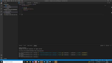 Code Shows In Terminal Instead Of Output Rvscode