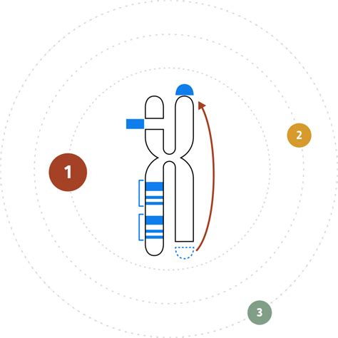 Bionano Transforming The Way The World Sees The Genome