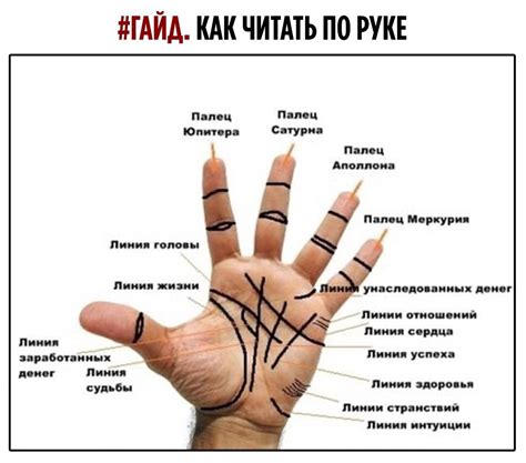 Расшифровка ладоней