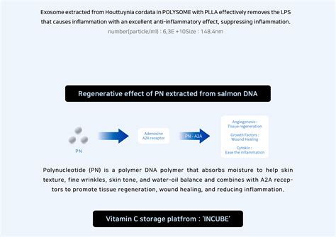 Polysome With Plla Buy Online Skin Reboot
