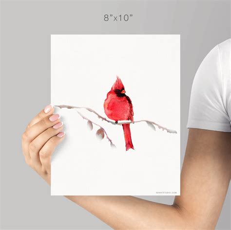 Red Cardinal Bird Art Print Perfect T For Her Or Him Museum