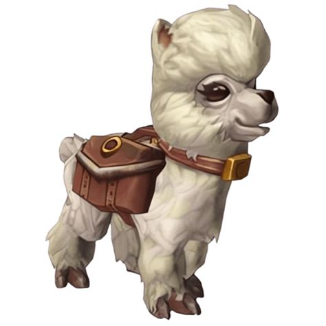 Dottie Buy Pet Wow Raidline