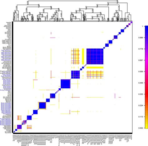 Fine Scale Population Structure Based On The Pairwise Coincidence