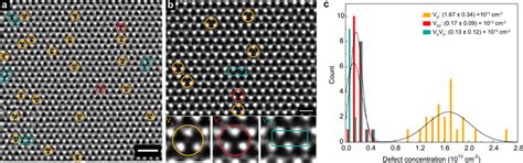 Atomic Defects Characterized By Scanning Transmission Electron Download Scientific Diagram