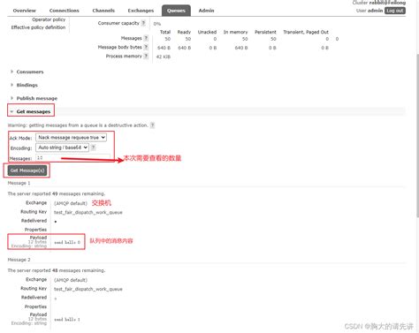 rabbitmq 管理界面操作说明 rabbitmq控制台查看消息记录 csdn博客