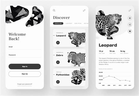 45 Download Wireframe Vs Mockup Psd 6490mockup
