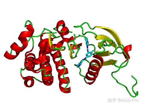 Pymol入门基础 分子三维结构可视化教程（上篇） 知乎