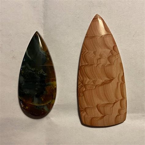 Grasshopper Larva Nematode Worm Parasite Fossil Plate Etsy