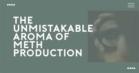 Is Kava Addictive Understanding Its Effects And Risks