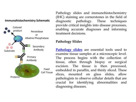 Enhancing Disease Diagnosis With Pathology Slides And Ihc Stainingpptx