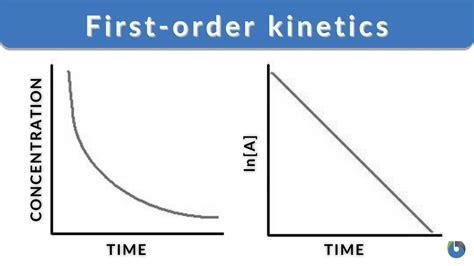 First Order Kinetics Definition And Examples Biology Online Dictionary