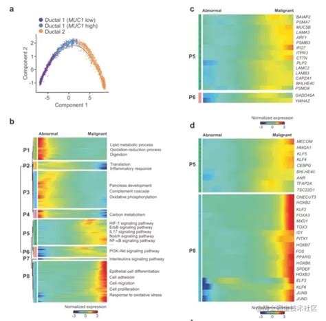 单细胞 细胞轨迹分析（基础知识）参考： 玩转单细胞高级分析 细胞轨迹分析篇 拟时序分析是什么？怎么看？如何用？ 掘金