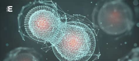 What Are The 2 Main Types Of Biotechnology