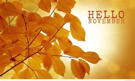November Wallpapers Hd Free Download Pixelstalk Net