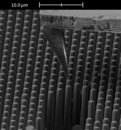 Deep Reactive Ion Etching Of Silicon Nanowires A Groundbreaking