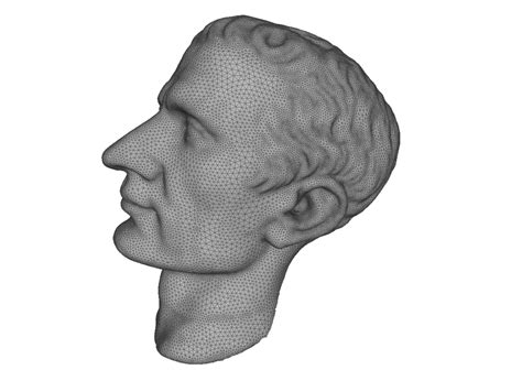 Triangulated Mesh 85145 Triangles Download Scientific Diagram