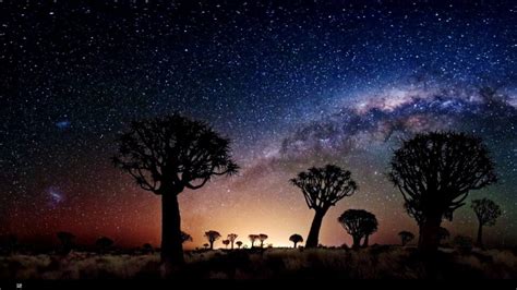 Introduction To Showwhy User Interfaces For Causal Decision Making Microsoft Research