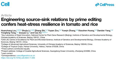 Cell：许操团队利用先导编辑开发环境智能型高产 稳产作物设计育种新策略 澎湃号·湃客 澎湃新闻 The Paper