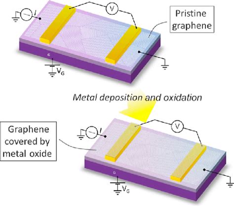 Experimental Scheme Of A Graphene Field Effect Device Before And After Download Scientific
