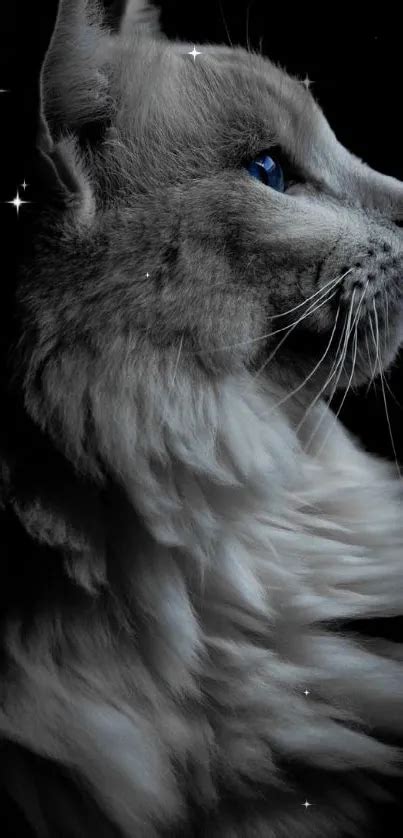 Elegant Cat Silhouette Wallpaper Free Download