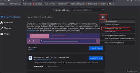 Kali机中firefox浏览器装hackbar插件kali怎么找hackbar 插件安装目录 Csdn博客