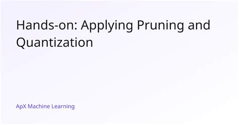 Hands On Applying Pruning And Quantization