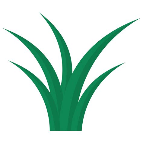 Green Grass Over White Background 24197116 Vector Art At Vecteezy