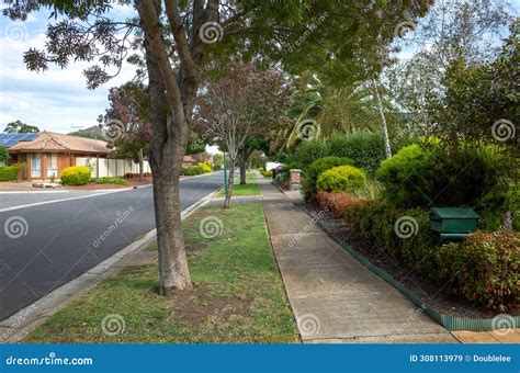 A Suburban Tree Lined Street With Beautiful Front Yard Gardens In A Quiet Residential Area