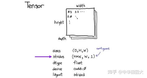 PyTorch 基本结构 内部机制 底层概览 知乎