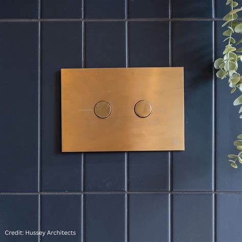 Buy Metal Pneumatic Flush Plate Brushed Brass Plumbing Products