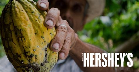 hershey hedges against cocoa constraints as it eyes price pack