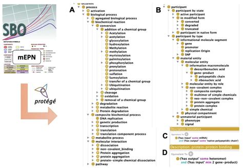 Disease Map Ontology Dmo Model Design Term Of Classes Were Extracted Download Scientific