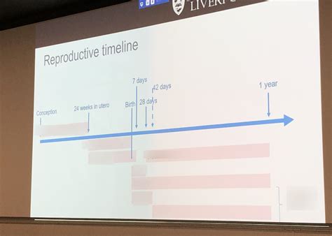 Reproductive Timeline Diagram Quizlet