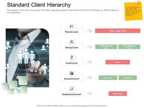 Digitization Of Client Onboarding Standard Client Hierarchy Ppt Infographic Template Show Pdf