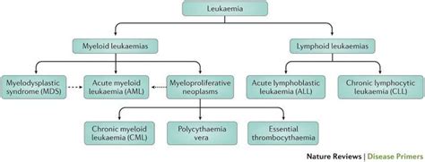 Leukemia Classification Medizzy