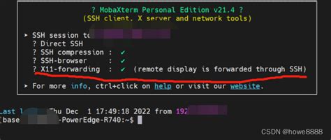 Mobaxterm下docker容器中运行界面程序mobaxterm Docker Csdn博客
