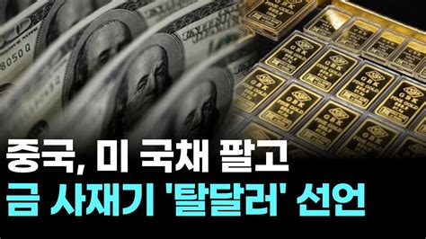 중국 미 국채 팔고 금 사재기탈달러 선언 Youtube