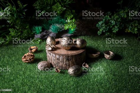 소박한 오래된 나무 테이블에 호두 커널과 전체 호두와 함께 여전히 생활 창조적 인 테이블 장식 건강한 식생활에 대한 스톡 사진 및 기타 이미지 Istock