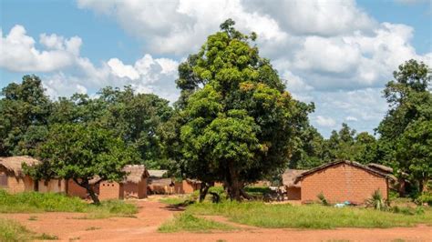 Conciliation Resources And Our Implementing Partner Fondation Vegas