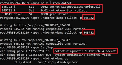 Process Not Running Compatible NET Runtime Issue