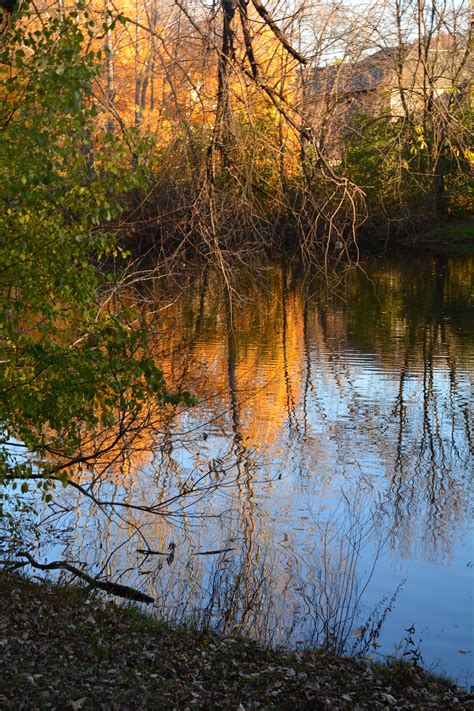 How Fragile We Are A Temporary Life In A Vulnerable Body Journal Of You