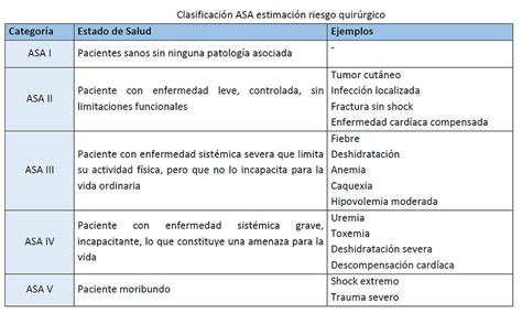 Riesgos Anestésicos Y De Sedación En Mascotas