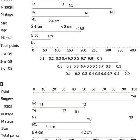 Nomograms For Predicting Overall Survival And Cause Specific Survival Download Scientific