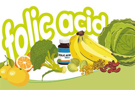 خواص اسید فولیک ویتامین ب۹ و عوارض کمبود آن ستاره
