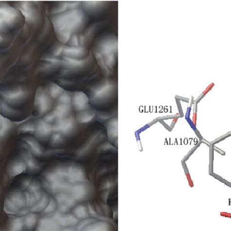 3d Left And 2d Right Binding Mode Of 1 With The Active Site Of Xo