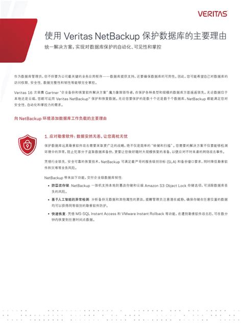 V1389 使用 Veritas Netbackup 保护数据库的主要理由 Pdf