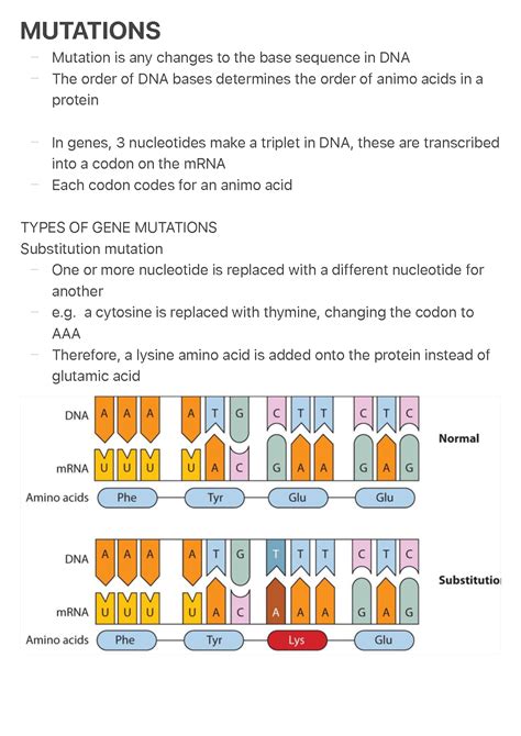 Genetic Mutation Types
